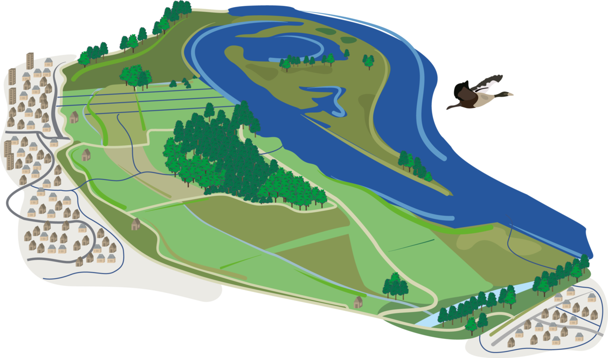 Landschapselementen | Deltaplan Biodiversiteitsherstel