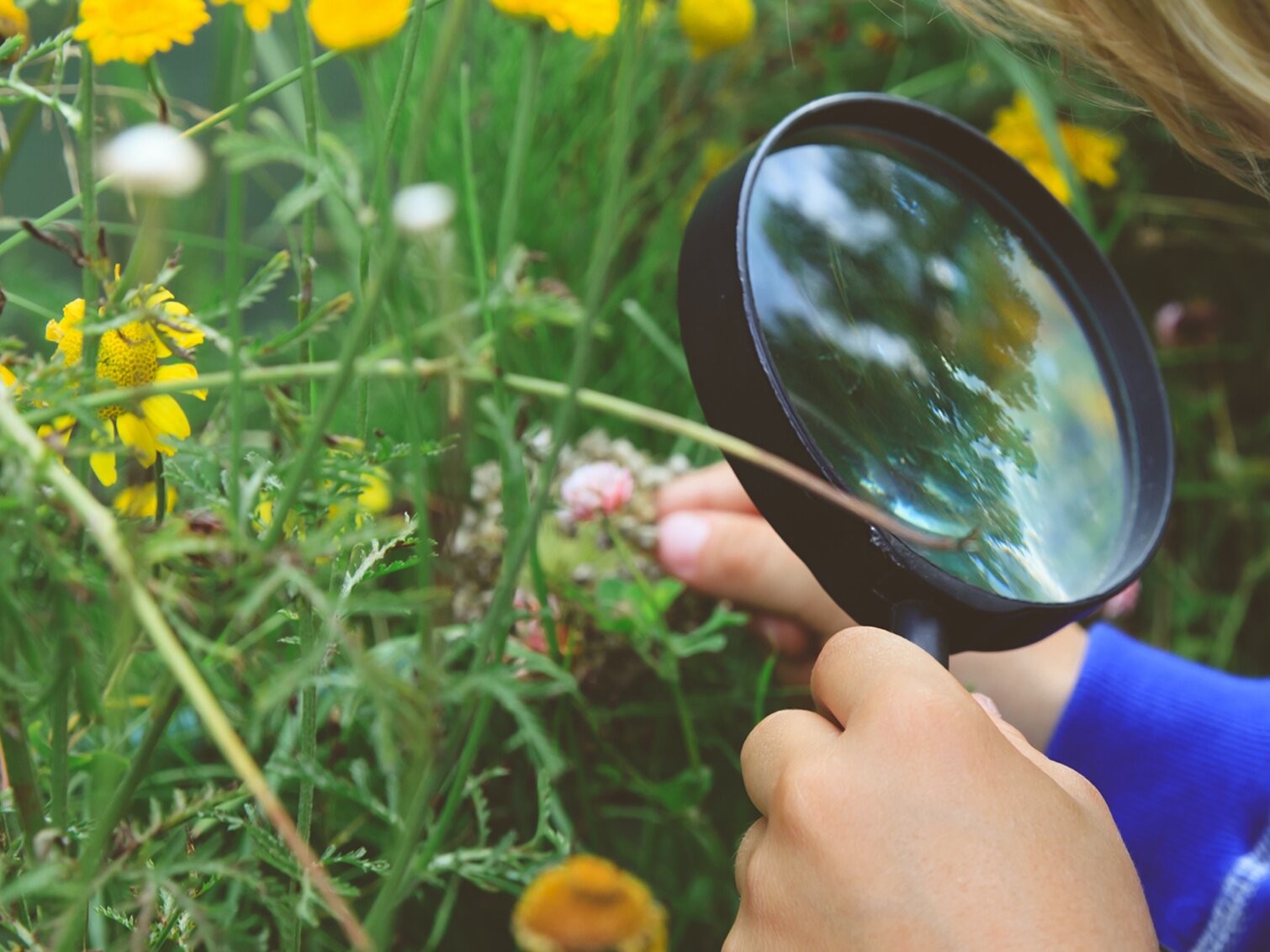 Aan de slag met KPI’s voor openbare ruimte en natuur | Deltaplan ...
