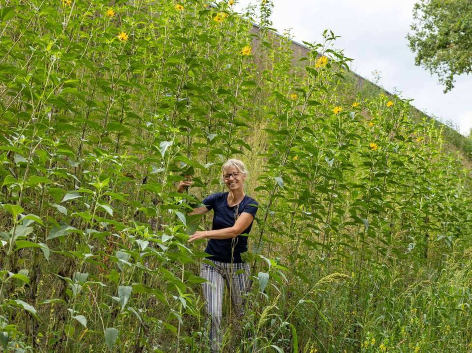 Prachtlint Staphorst: samen voor biodiversiteit | Deltaplan ...